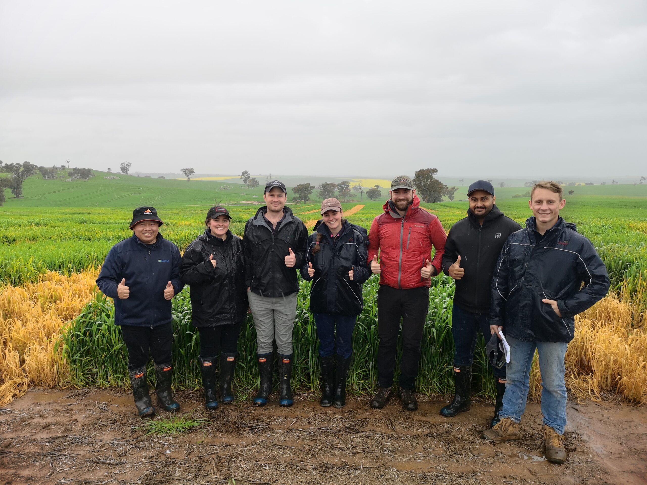 Kalyx acquires Staphyt's New Zealand business - Kalyx