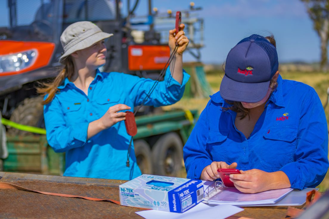 New Way of Operating at Kalyx - Kalyx