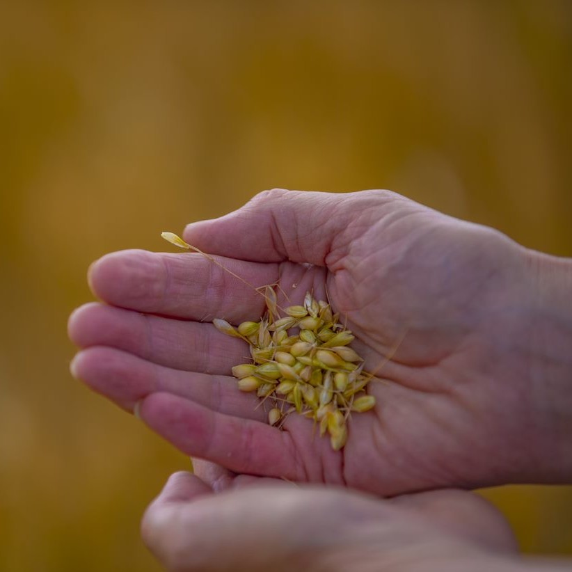 The Endless Pursuit - Kalyx